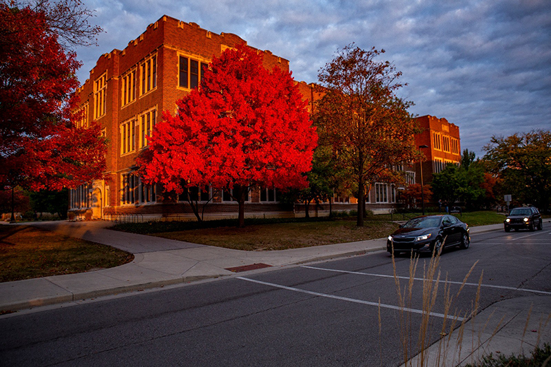 The Month in Photos: October 2019 - Ball State Magazine