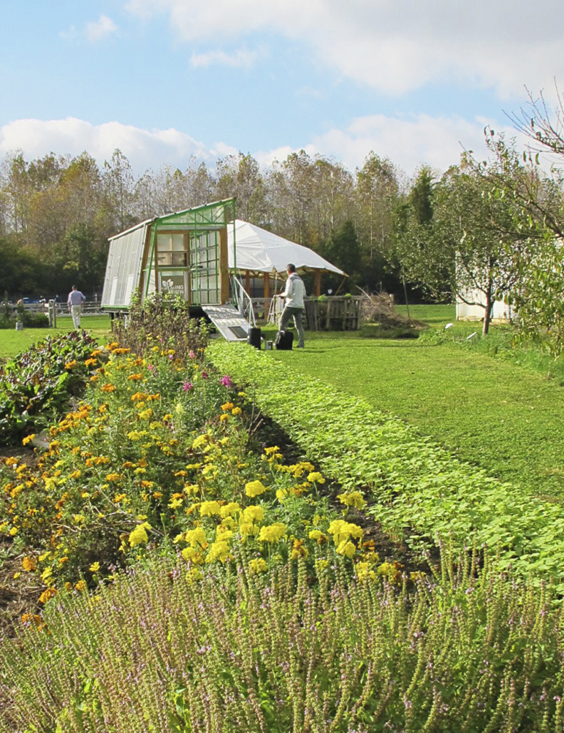 Students design, build mobile greenhouse to help urban farm flourish