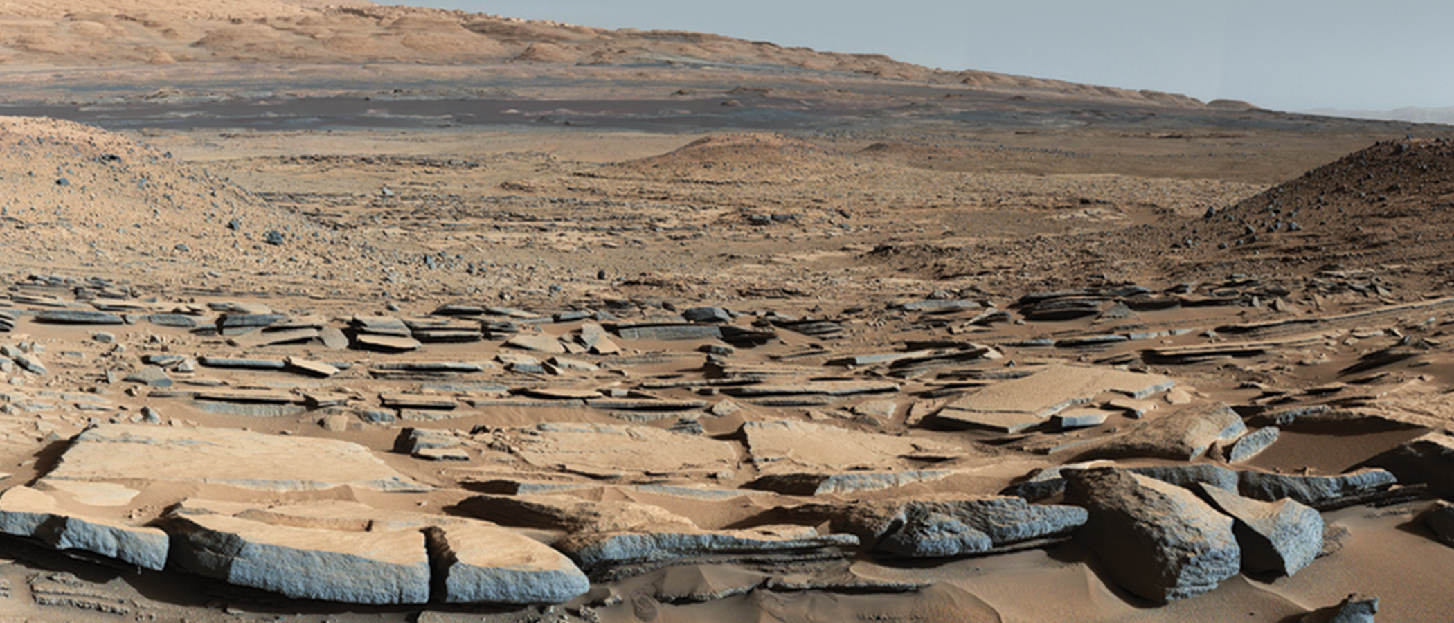 HPL's Scott Trappe helping astronauts muscle their way to Mars