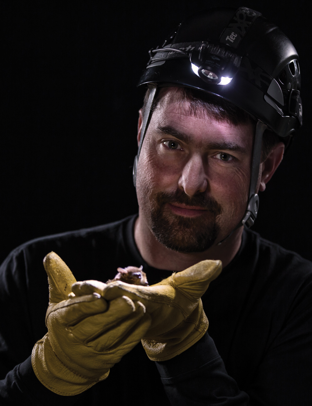Biologist Tim Carter seeks to cure disease, save millions of bats