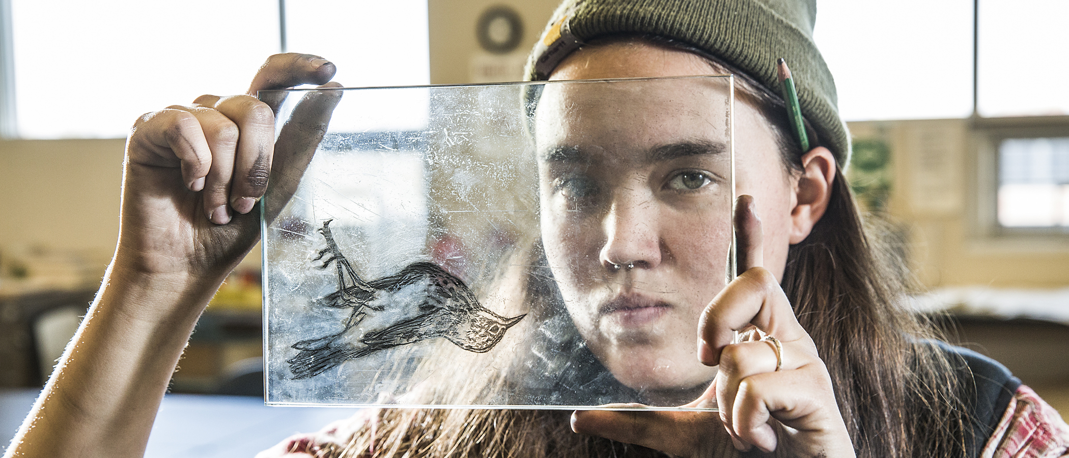 When birds crash: Making sense, art out of avian-window impacts