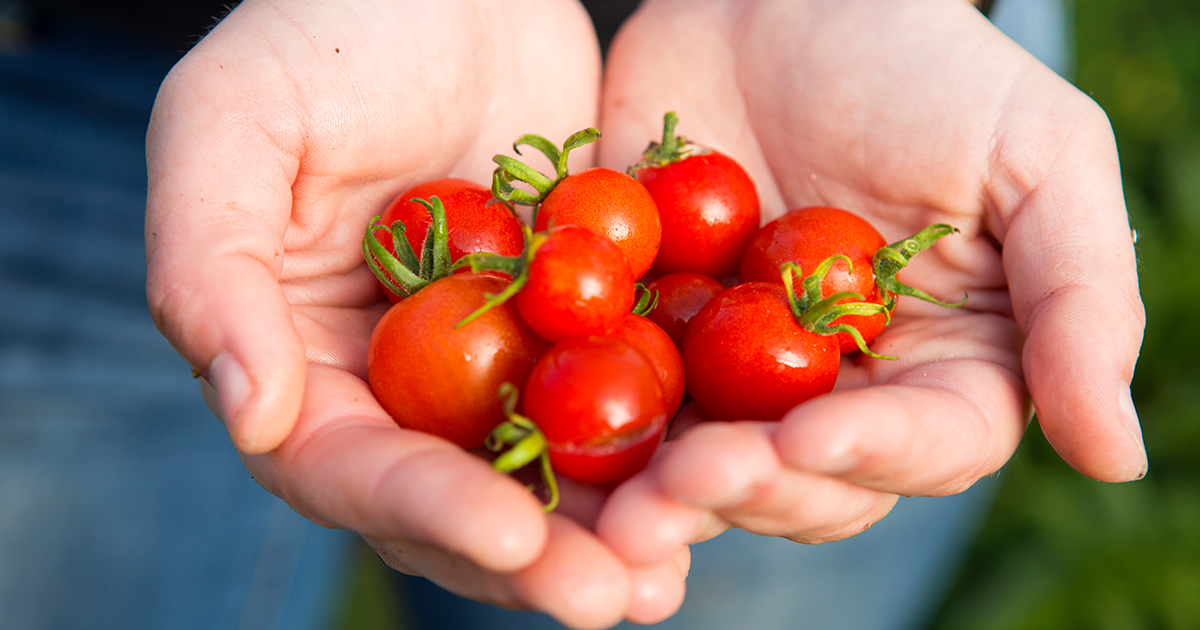 Student knowledge, 170-plus crops growing on year-round sustainable farm