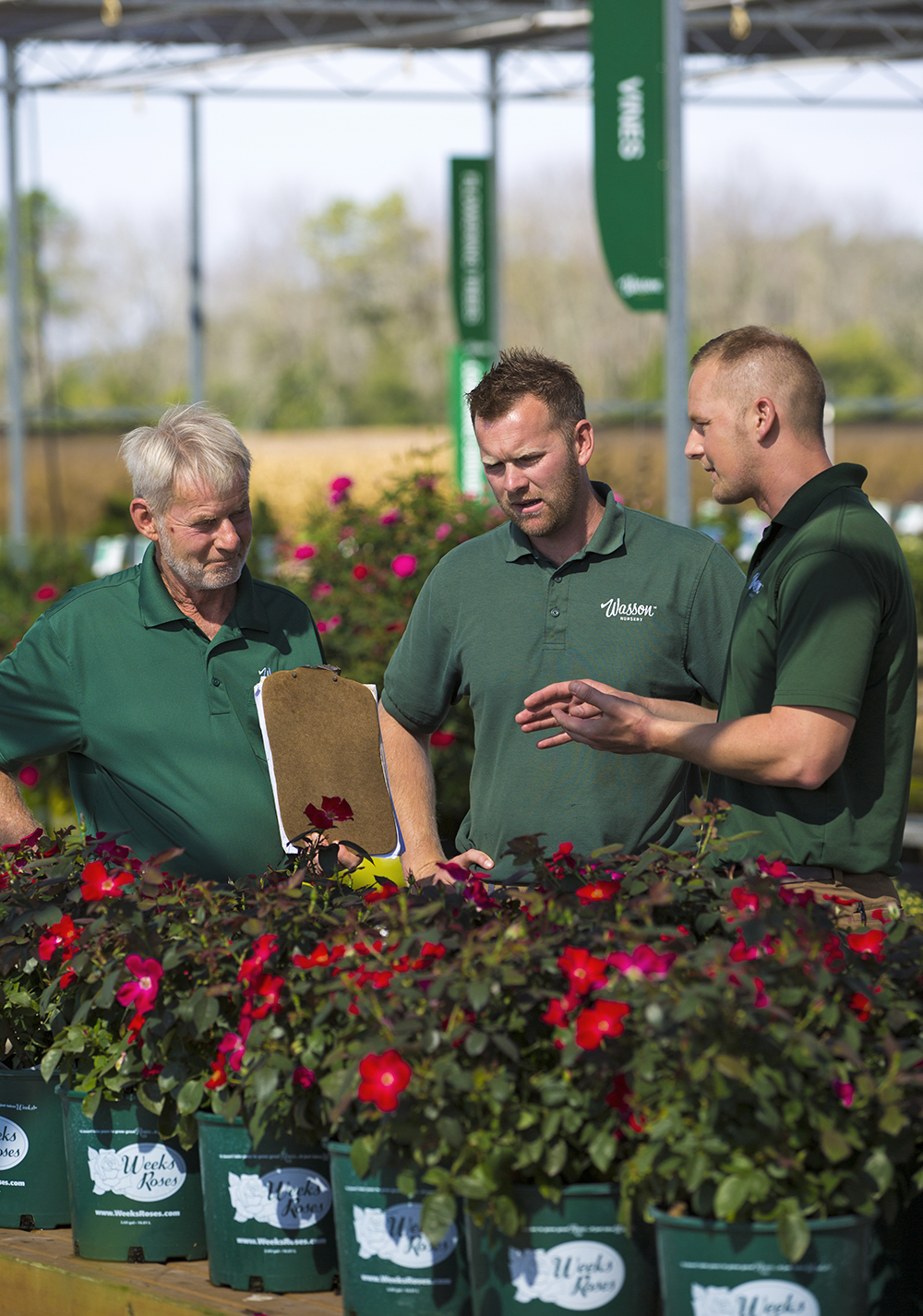 A father builds a nursery business; 2 sons help him spread its roots