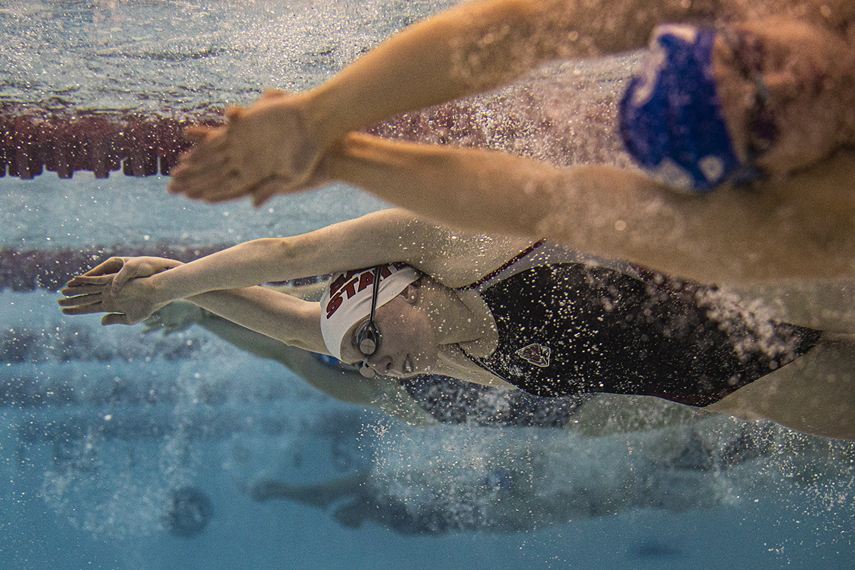 Month in Photos: January 2020