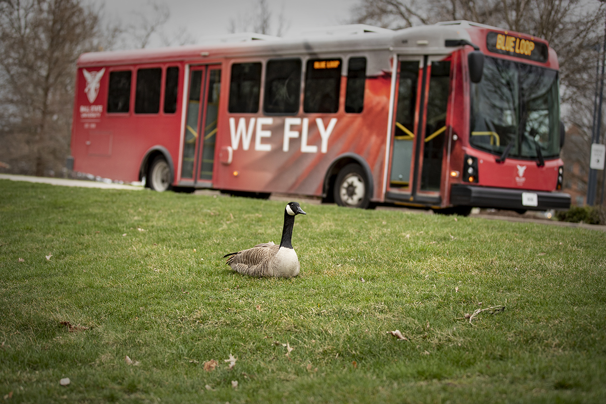 14 Photos of a Campus in Bloom - Ball State Magazine
